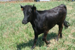 Untitled [www.p24.fr]